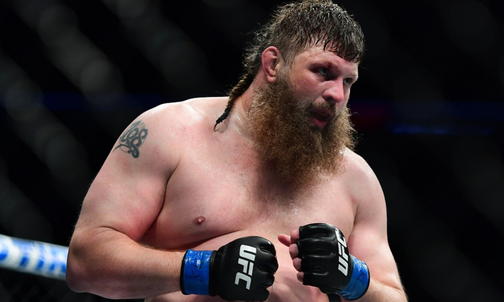 Roy Nelson 2018