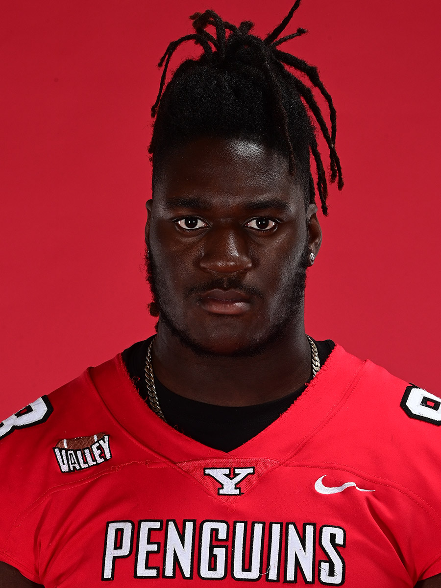 Michael Boyd, Youngstown State Penguins - NIL Profile - Opendorse