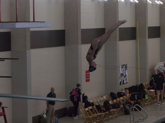 Natalie Weissman, Diving, Youngstown State Penguins - NIL Profile ...