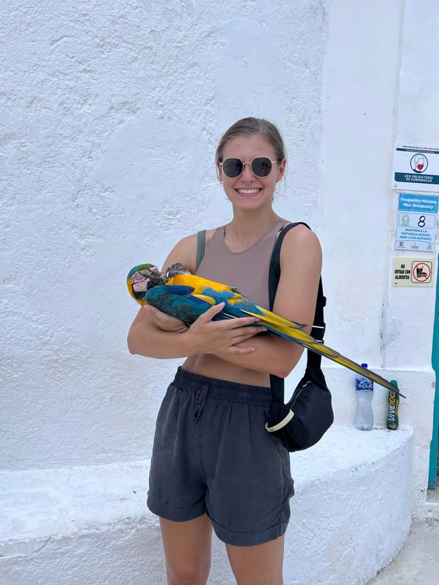 Riley Hurst, Shortstop, Campbellsville Tigers - NIL Profile - Opendorse