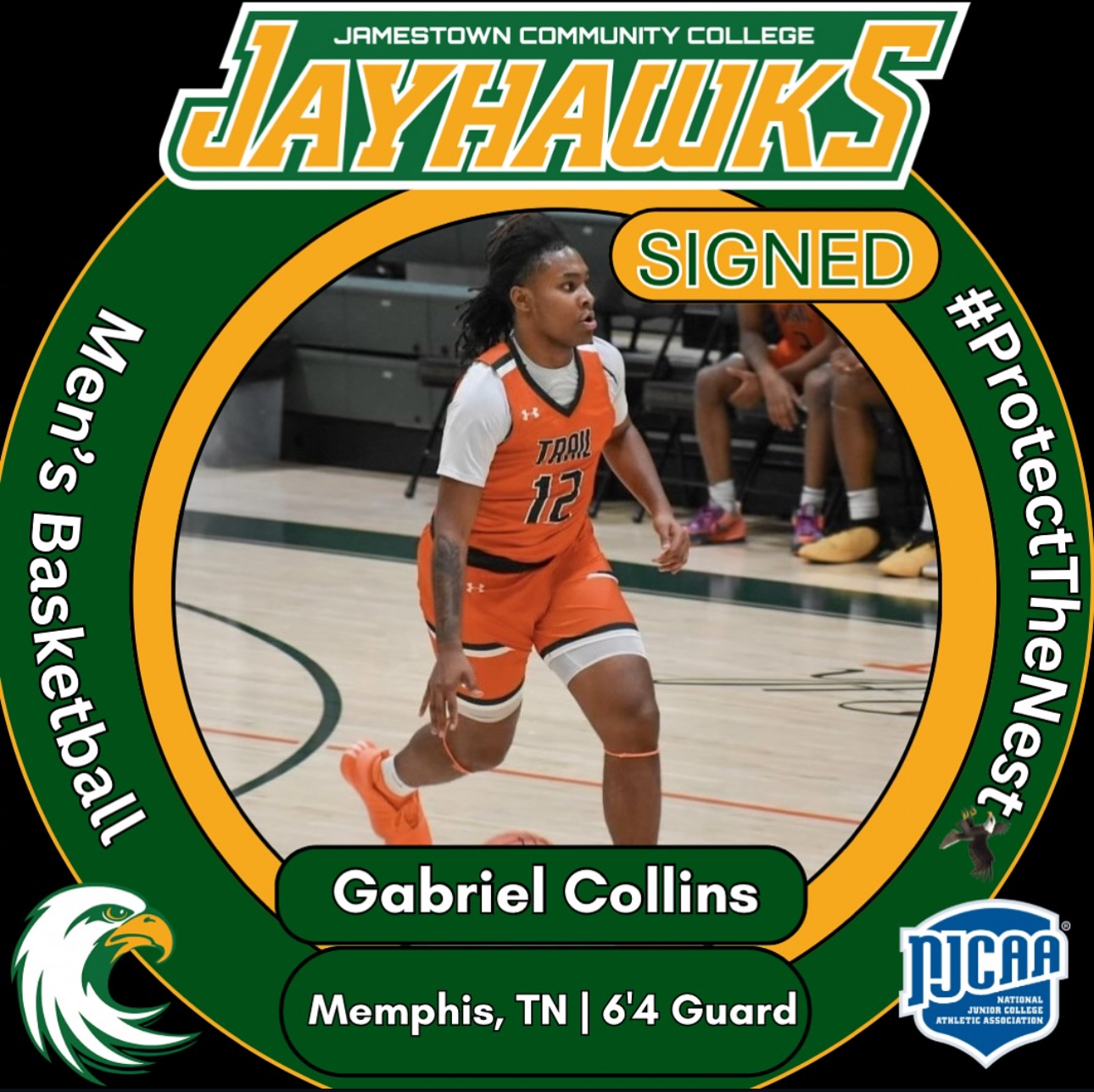 Gabriel Collins, Shooting Guard, Jamestown Community College ...