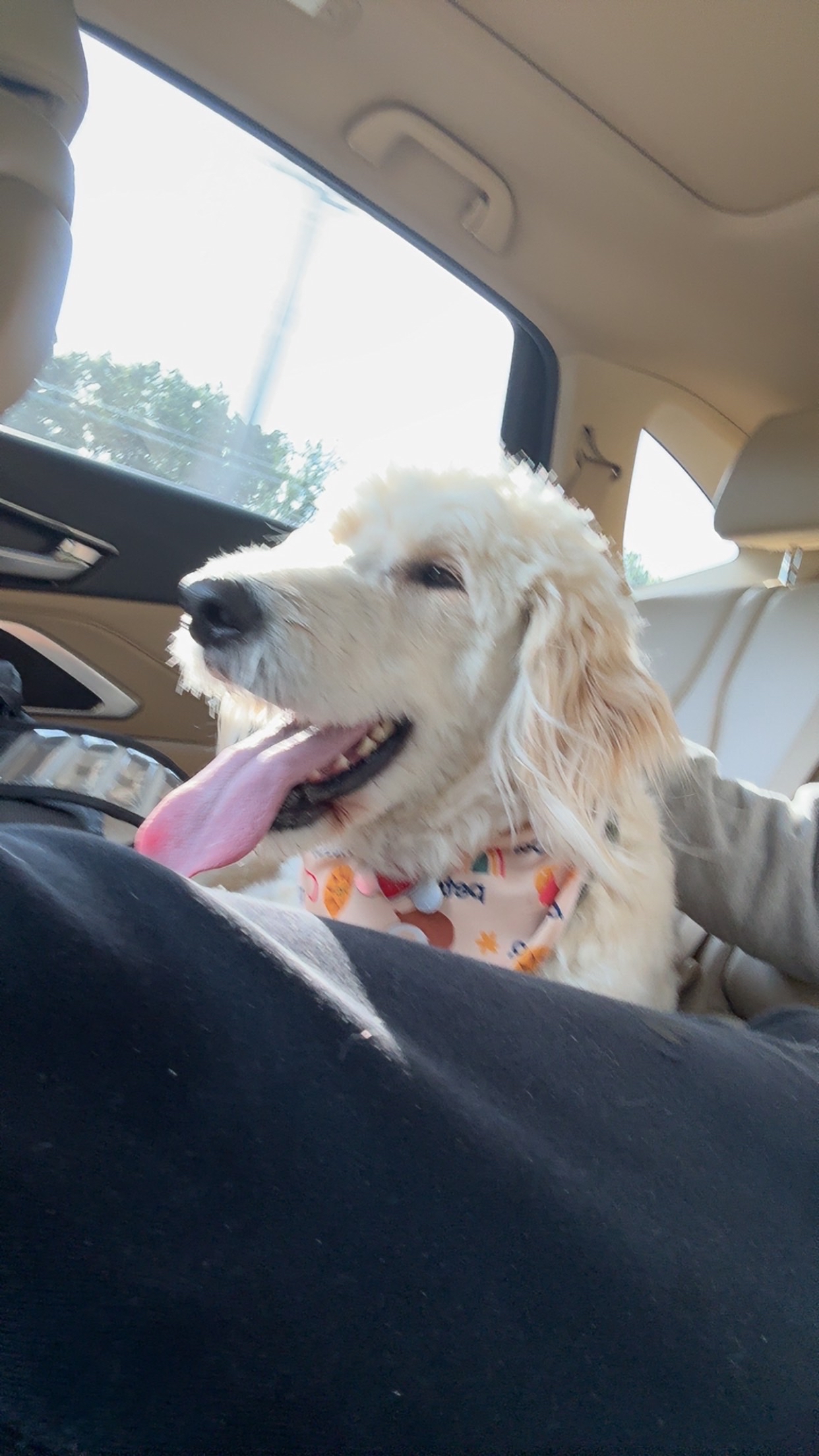 Xavier Wilson, Point Guard, Power Forward, Shooting Forward, Shooting ...