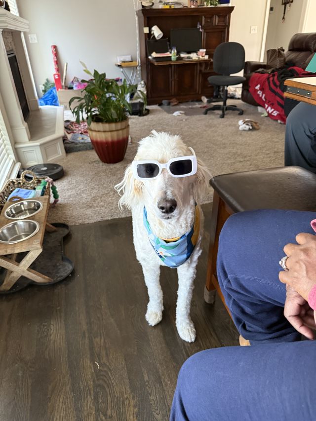 Xavier Wilson, Point Guard, Power Forward, Shooting Forward, Shooting ...